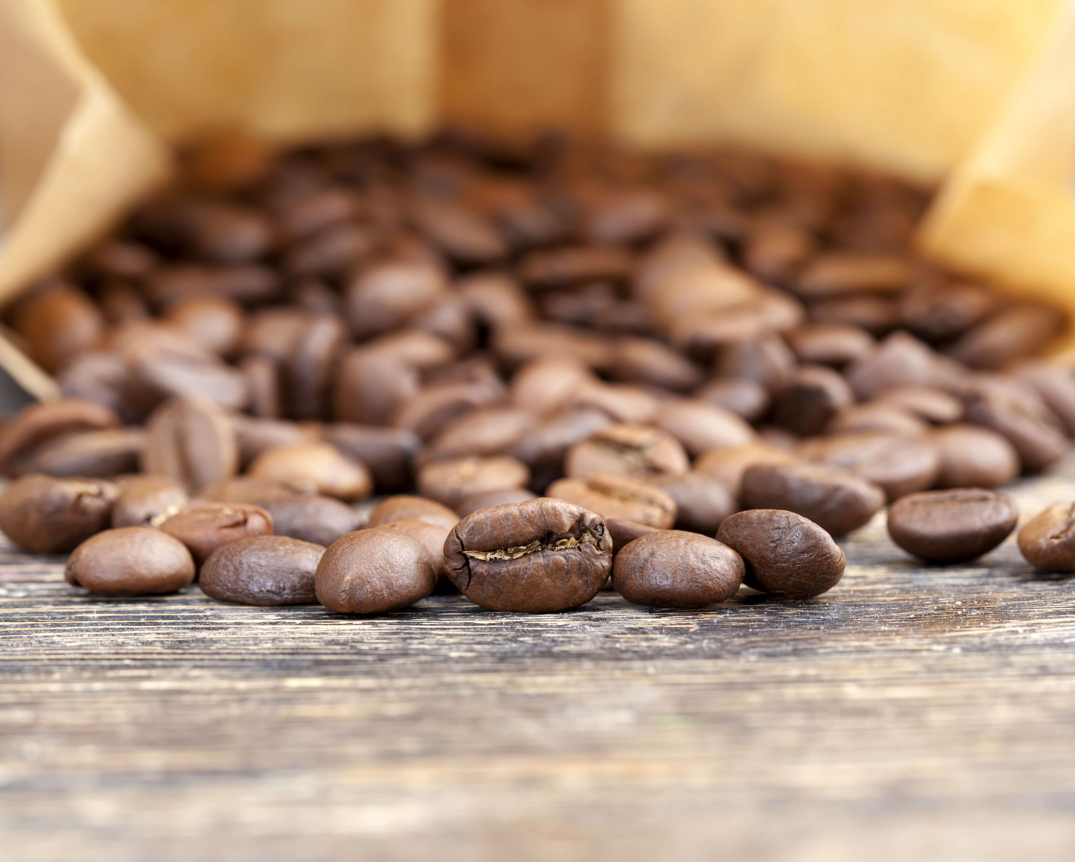 Premium Speciality Coffee Collection – Coffee Collective